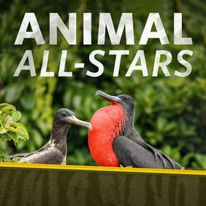 Animal All-Stars - Rotten Tomatoes