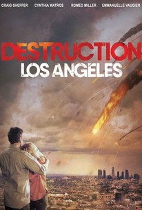 Destruction: Los Angeles (2017) - Rotten Tomatoes