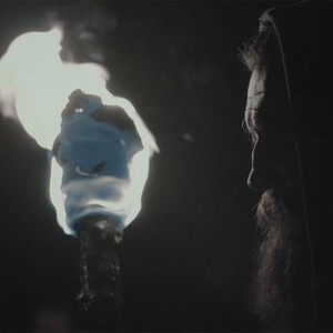 Shadows of Light - Rotten Tomatoes