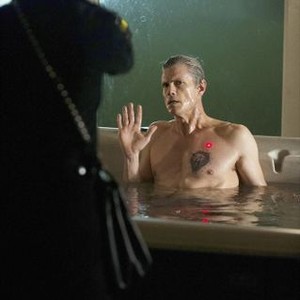 Cameron Bancroft - Rotten Tomatoes