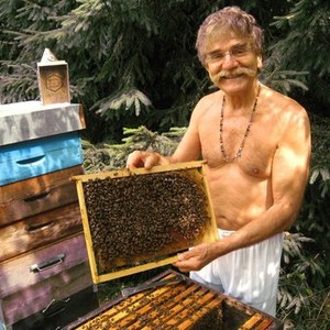 Queen of the Sun: What Are the Bees Telling Us? - Rotten Tomatoes