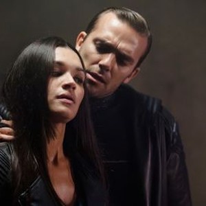 Kim Engelbrecht - Rotten Tomatoes