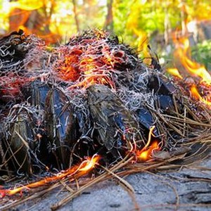 Man Fire Food: Season 3, Episode 11 - Rotten Tomatoes