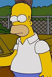 The Simpsons: Season 14, Episode 10 | Rotten Tomatoes