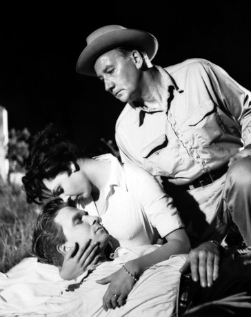 Edward Andrews Movieactorscom