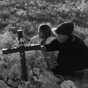 Araya - Rotten Tomatoes