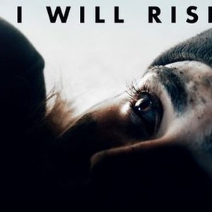 I Will Rise - Rotten Tomatoes