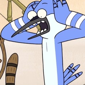 Regular Show Mordecai And Rigby Fighting