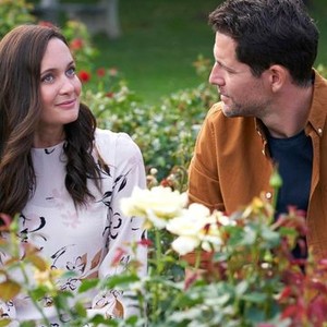 Loving Every Minute Rotten Tomatoes