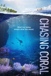 Chasing Coral - Rotten Tomatoes