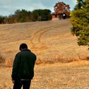 The Wild Pear Tree - Rotten Tomatoes