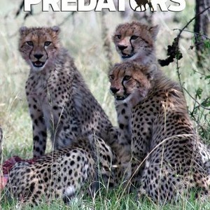 Secret Life of Predators - Rotten Tomatoes