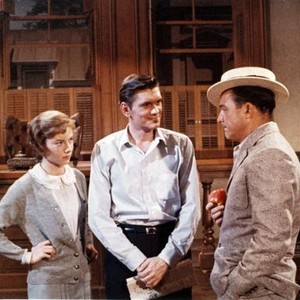 Donna Anderson - Rotten Tomatoes