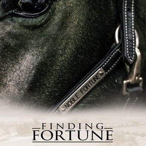 Finding Fortune - Rotten Tomatoes