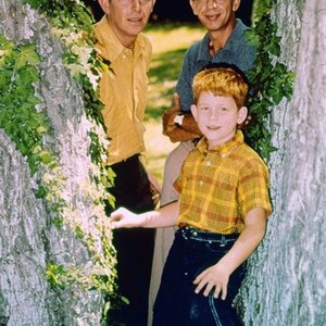 The Andy Griffith Show: Season 3, Episode 8 - Rotten Tomatoes