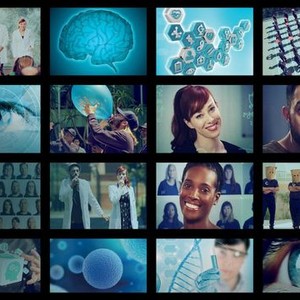 100 Humans - Rotten Tomatoes