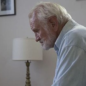 Life in Color - Rotten Tomatoes