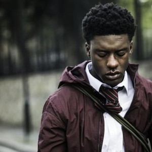 The Last Tree - Rotten Tomatoes