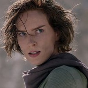 The Lair - Rotten Tomatoes