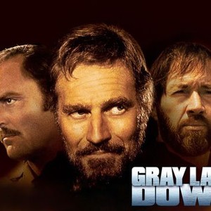Gray Lady Down - Rotten Tomatoes