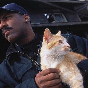 Animal Cops - Rotten Tomatoes