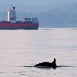 Coextinction - Rotten Tomatoes