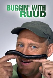 Buggin' With Ruud: Season 1 | Rotten Tomatoes