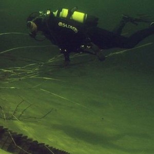 Diving With Crocodiles - Rotten Tomatoes