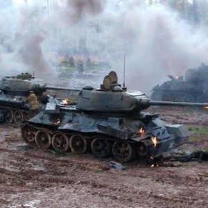 White Tiger - Rotten Tomatoes