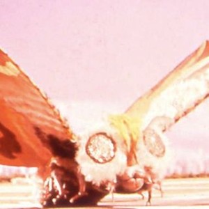 Mothra - Rotten Tomatoes