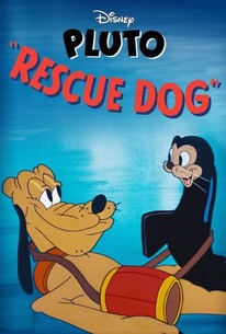 Rescue Dog | Rotten Tomatoes