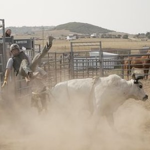 Buckin' Bulls: The Story of Ty Rinaldo - Rotten Tomatoes