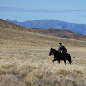 On the Way to School - Rotten Tomatoes