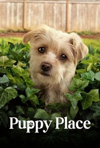 Puppy Place - Rotten Tomatoes