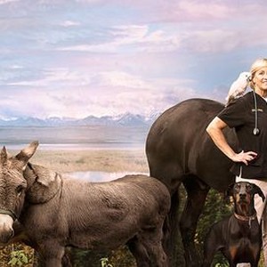 Dr. Dee: Alaska Vet - Rotten Tomatoes