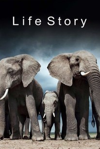 Life Story | Rotten Tomatoes