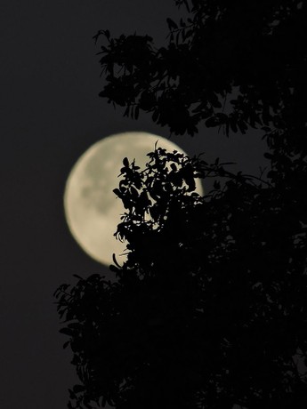 Mostly True Stories: Urban Legends Revealed: Season 3, Episode 6 ...