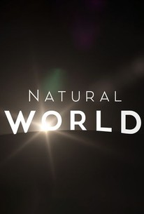 Natural World: Season 34 | Rotten Tomatoes
