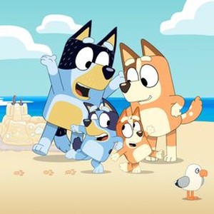 Bluey - Rotten Tomatoes