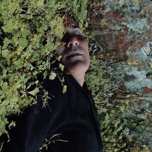 A Prince - Rotten Tomatoes