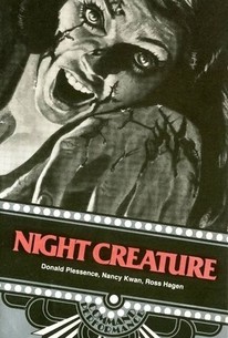 Night Creature | Rotten Tomatoes