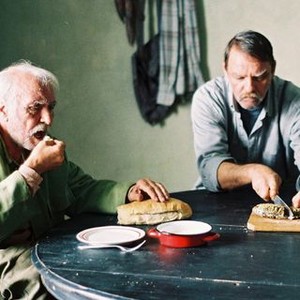 Ryna - Rotten Tomatoes