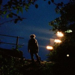 The Maiden - Rotten Tomatoes