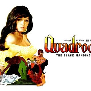 Quadroon - Rotten Tomatoes