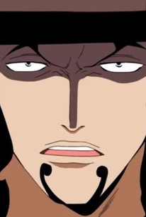 One Piece: Season 8, Episode 17 | Rotten Tomatoes