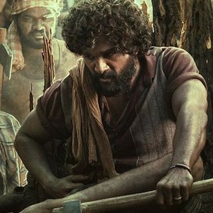 Pushpa: The Rise -- Part 1 - Rotten Tomatoes