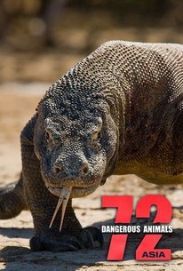 72 Dangerous Animals: Asia | Rotten Tomatoes