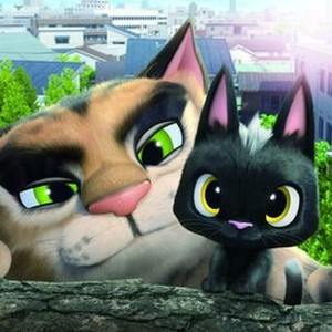 Rudolf the Black Cat - Rotten Tomatoes