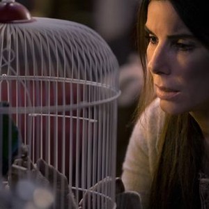 Bird Box - Rotten Tomatoes