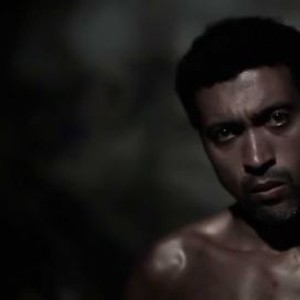 The Trigger - Rotten Tomatoes